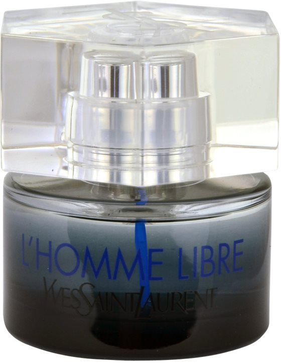 Yves Saint Laurent L'Homme Libre, Eau de Toilette for Men 40 ml ...