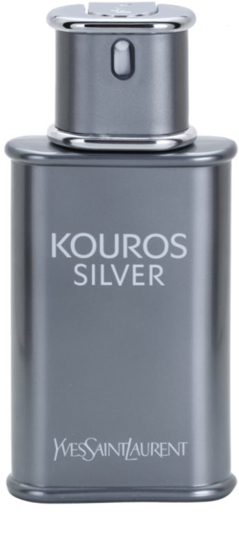 Yves Saint Laurent Kouros Silver, Eau de Toilette for Men 100 ml ...